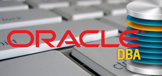 Descubre Cuales son las 7 Actividades más Importantes que Realiza un ...